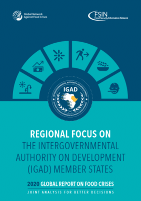 Homepage | Food Security Information Network (FSIN)