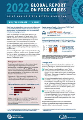 Global Report on Food Crises 2022 Mid Year Update In brief | Food Security Information Network ...