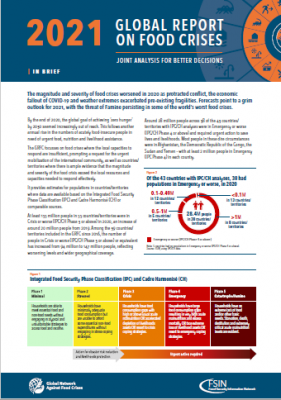 Global Report on Food Crises 2021 In brief | Food Security Information Network (FSIN)