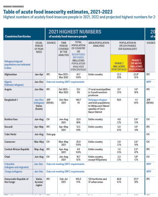 GRFC 2023 Mid-Year Update - Acute Food Insecurity Table | Food Security ...