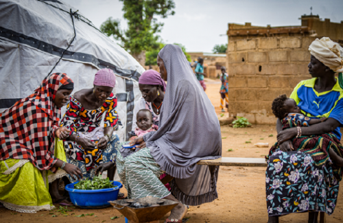 CILSS Regional Report 2023 - Spotlight on Nutrition | Food Security ...